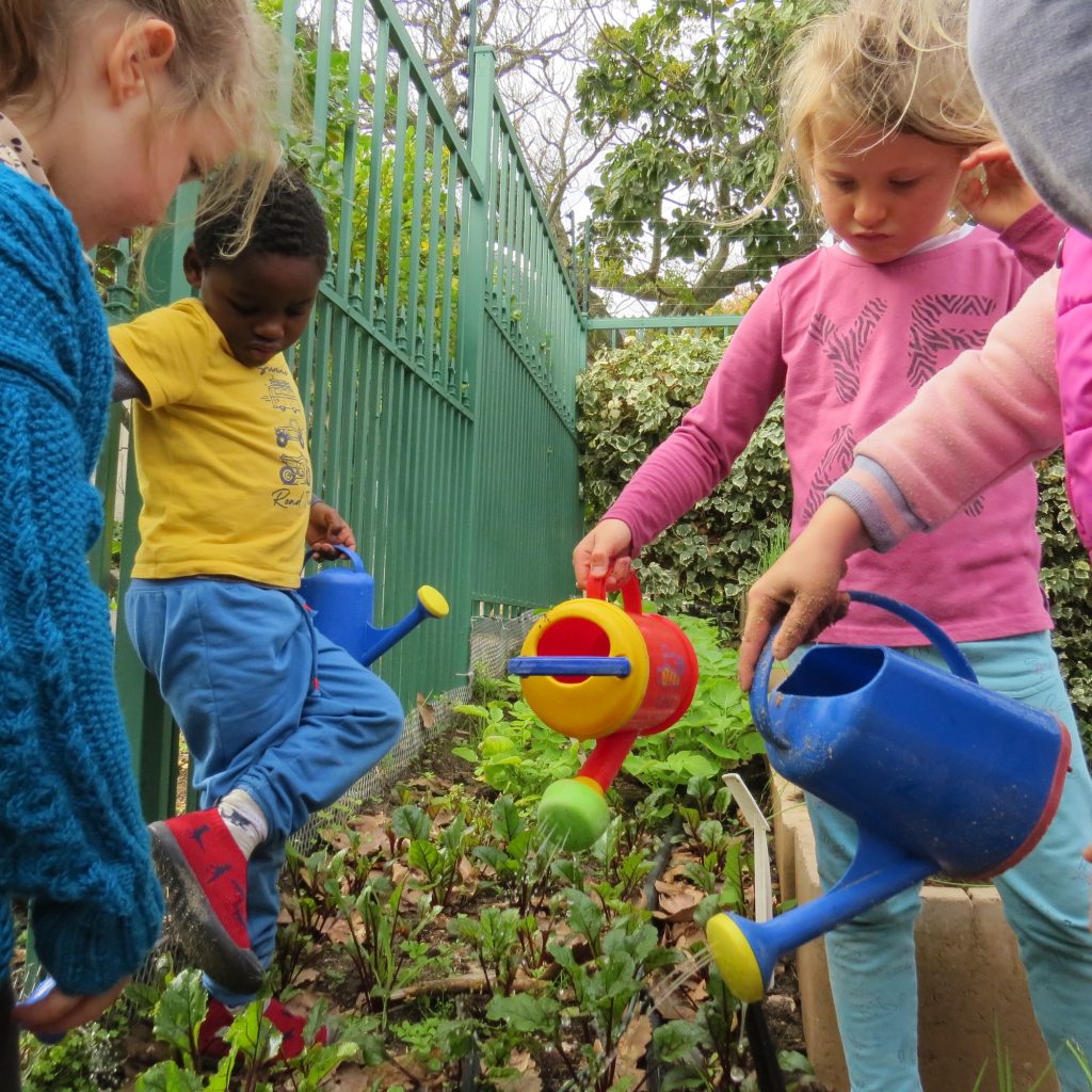 Valley Pre-Primary – Learning through Play